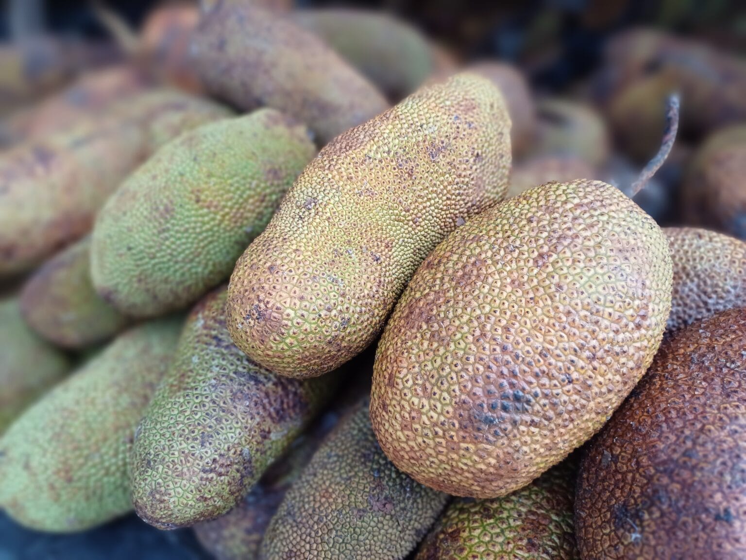 Cempedak adalah Buah dari Kalimantan Kaya Manfaat | ProPublika